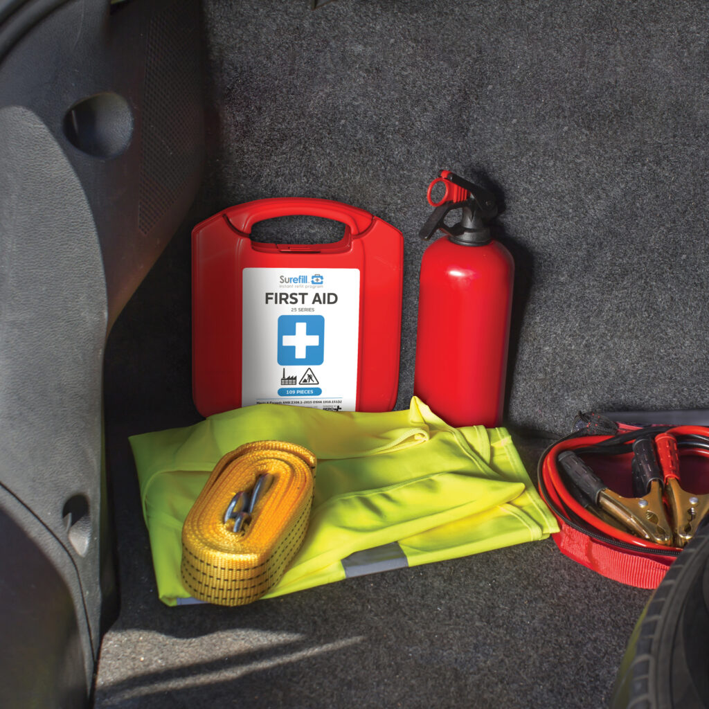 Surefill™ ALL PURPOSE 10 Series First Aid Kit - Red Translucent Case # ...